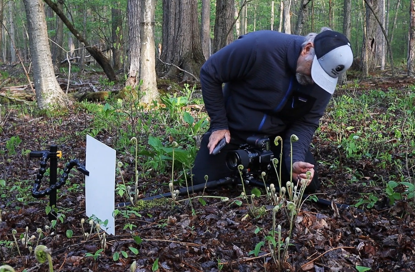 Mike Moats Macro Photography Blog