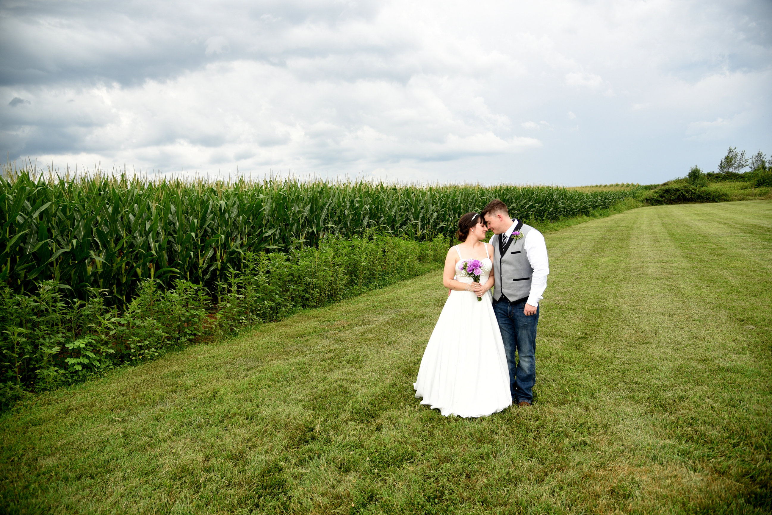 Mike Gibson Photography